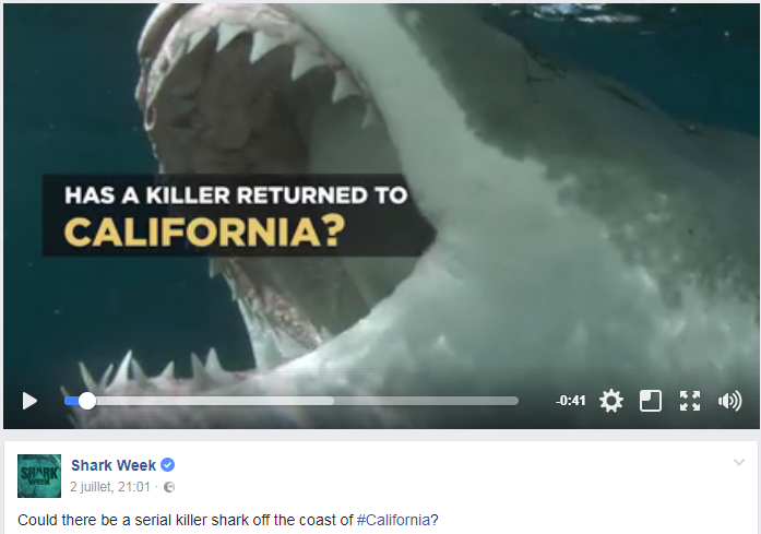 “Shark Week VS SharkFest” – Association Sauvegarde des Requins
